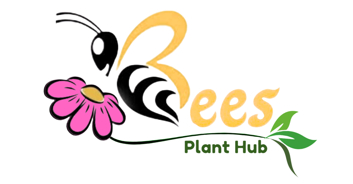 All Orchids Plants – Page 2 – Bees Plant Hub